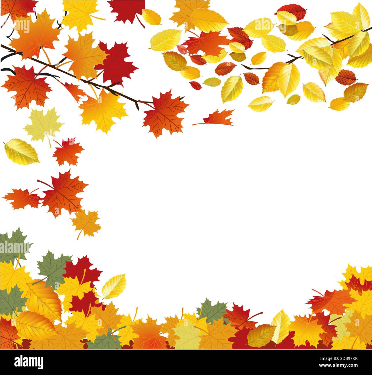 Autumn beauty, falling leaves, frame - vector illustration Stock Photo ...