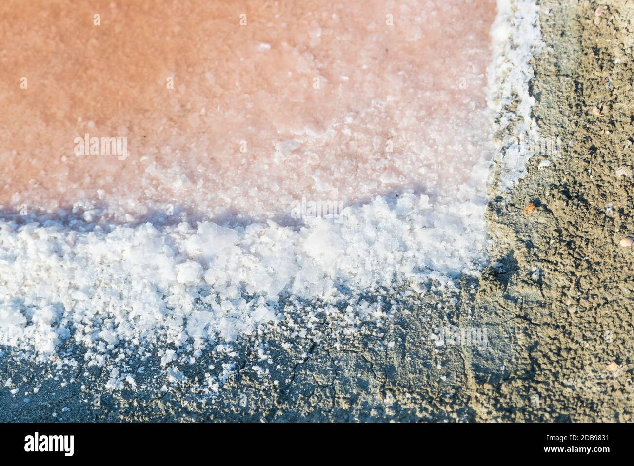 Salt on edge of salt marsh, LesÃ‚Â Portes-en-Re, Nouvelle-AquitaineÃ‚Â ...