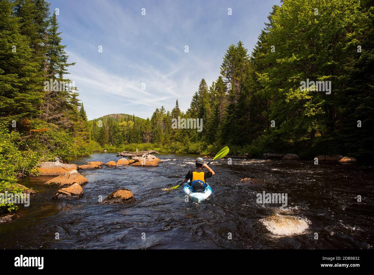 Man kayaking in St. Regis River, New York, USA Stock Photo - Alamy