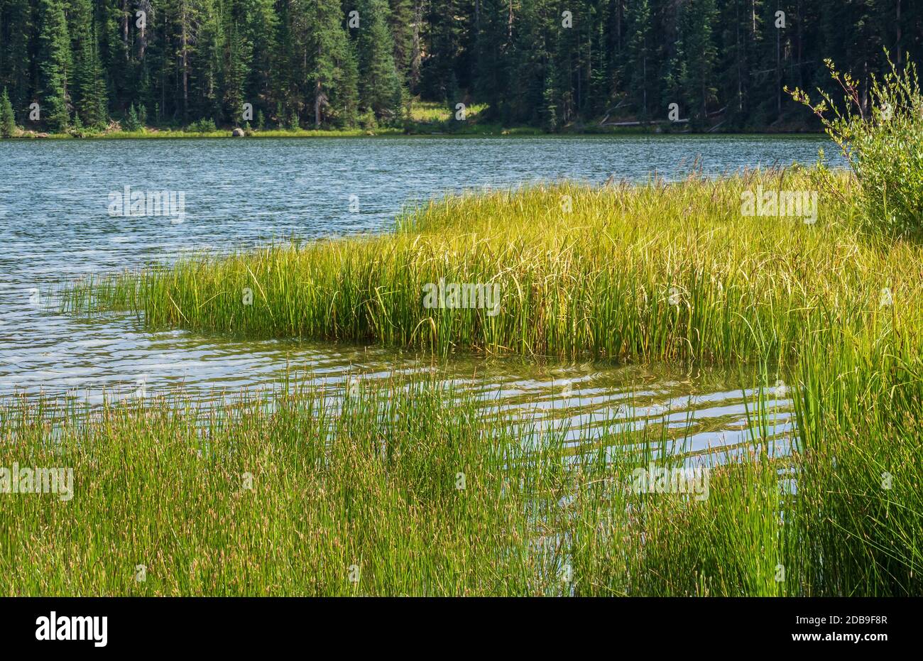 Carson Lake Reservoir, Grand Mesa, Colorado Stock Photo - Alamy