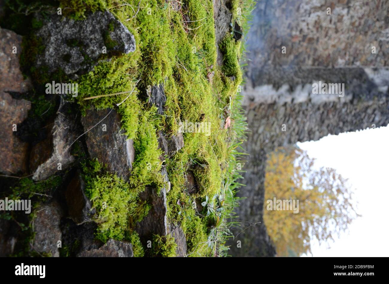 Castle wall with moss hi-res stock photography and images - Alamy