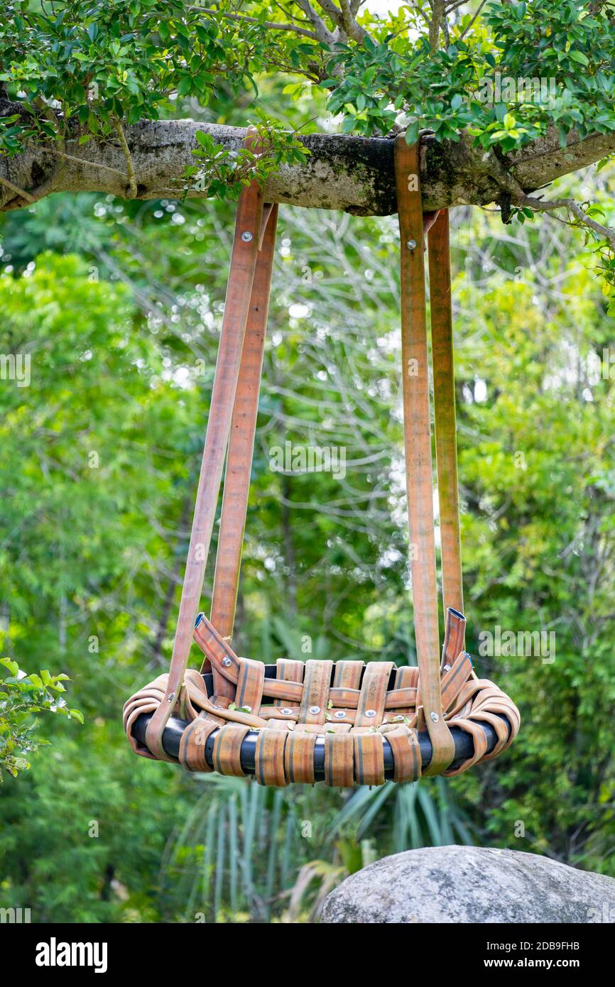 Swing hung from a tree Stock Photo - Alamy