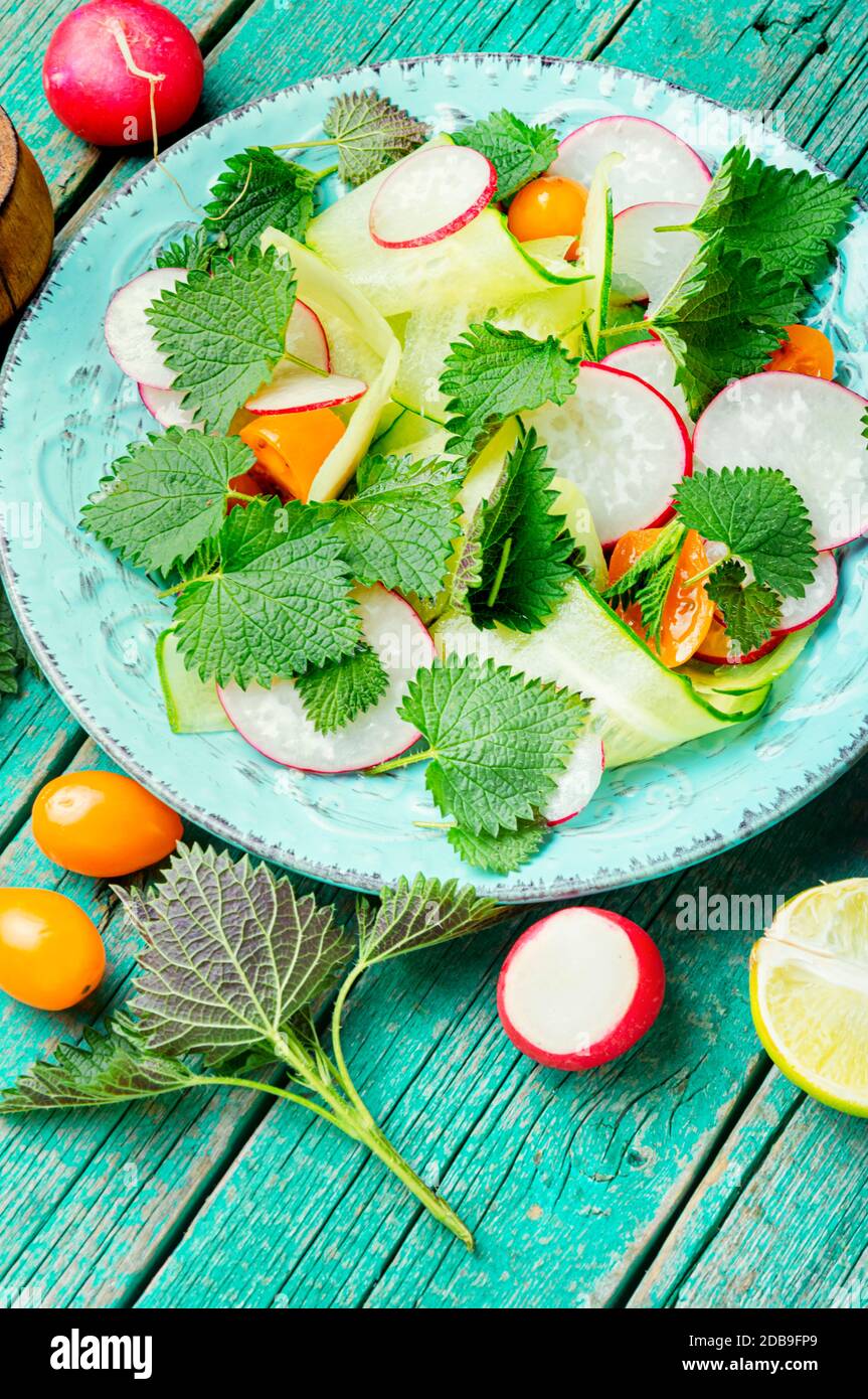 Healthy vegetable salad of nettle on plate.Healthy food concept Stock ...