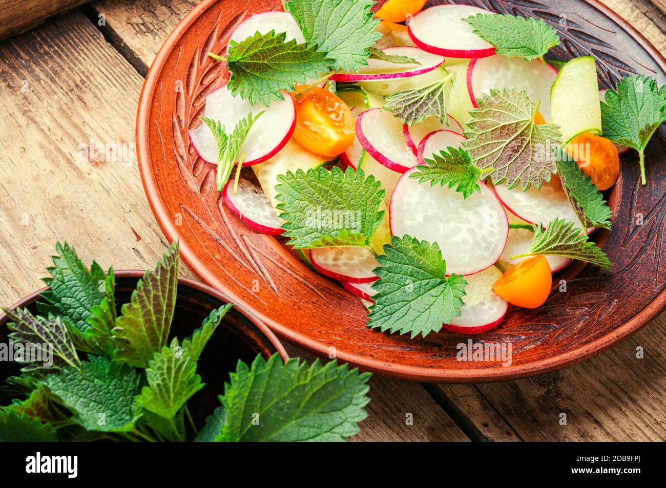 Healthy vegetable salad of nettle on plate Stock Photo - Alamy