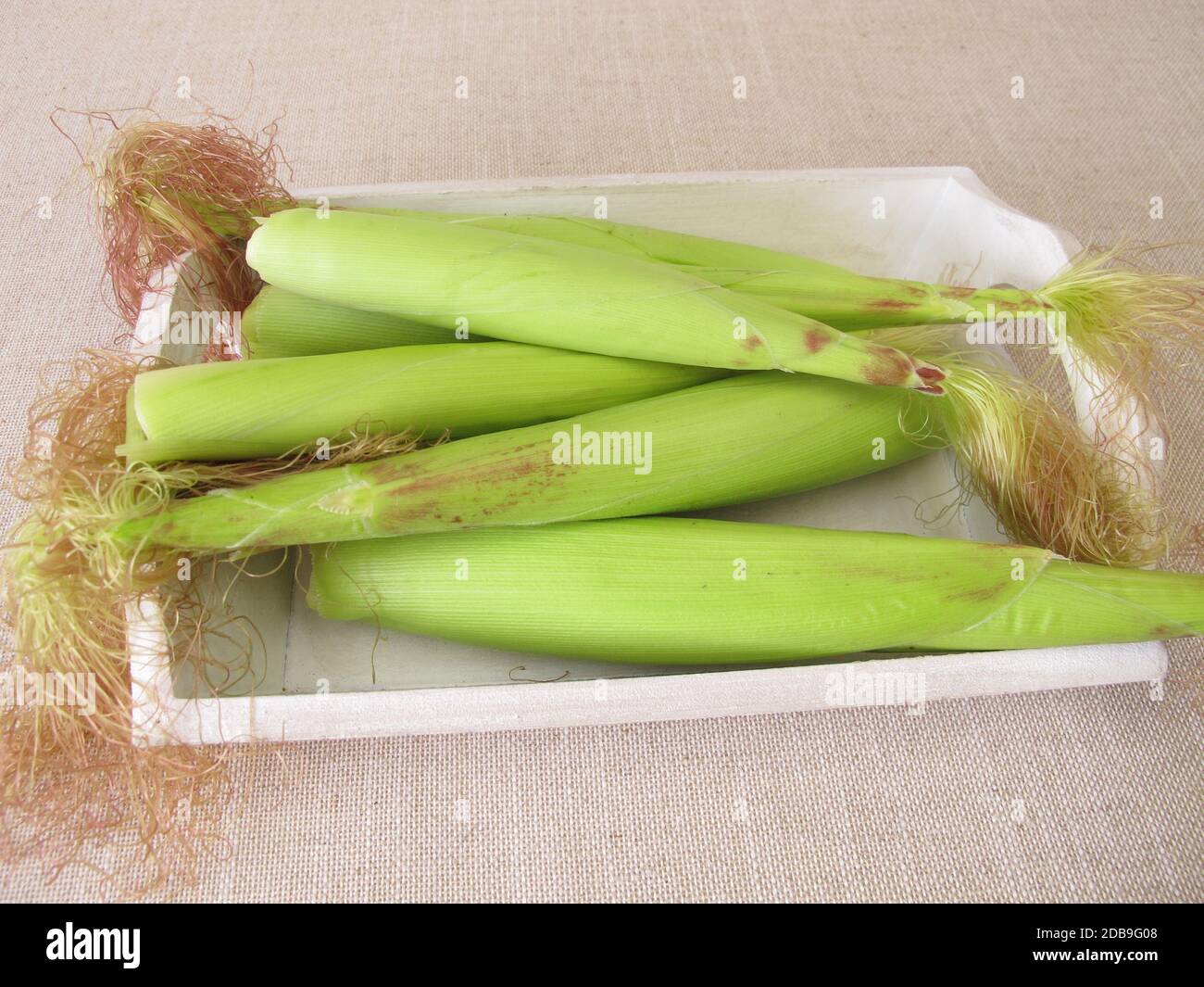Young corn ears in husk leaves from the garden on a tray Stock Photo ...