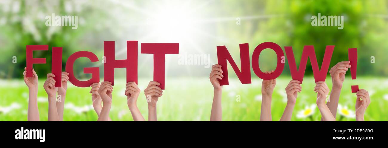 People Hands Holding Colorful English Word Fight Now. Sunny Green Grass ...