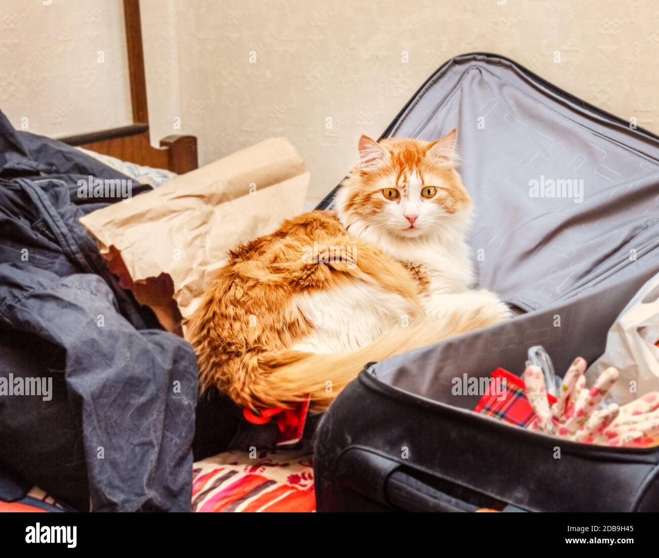 Real adult hi-res stock photography and images - Alamy