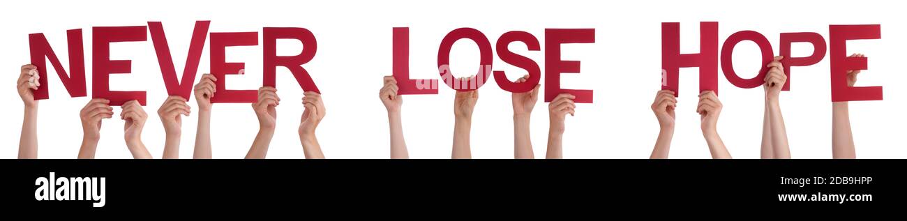 People Hands Holding Colorful English Word Never Lose Hope. White ...
