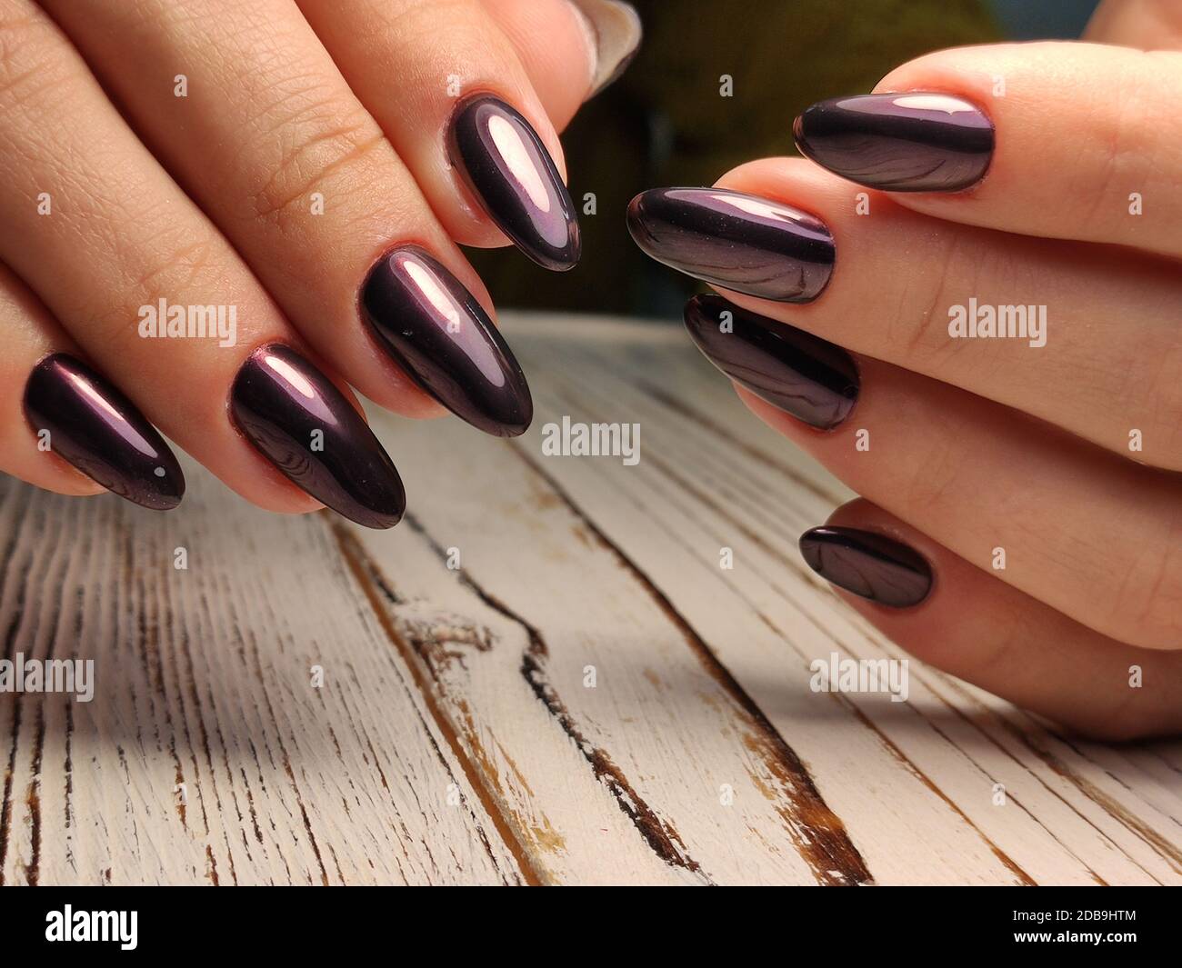 Beautiful Female Hands. Beautiful hand with perfect nail 2019 Stock ...