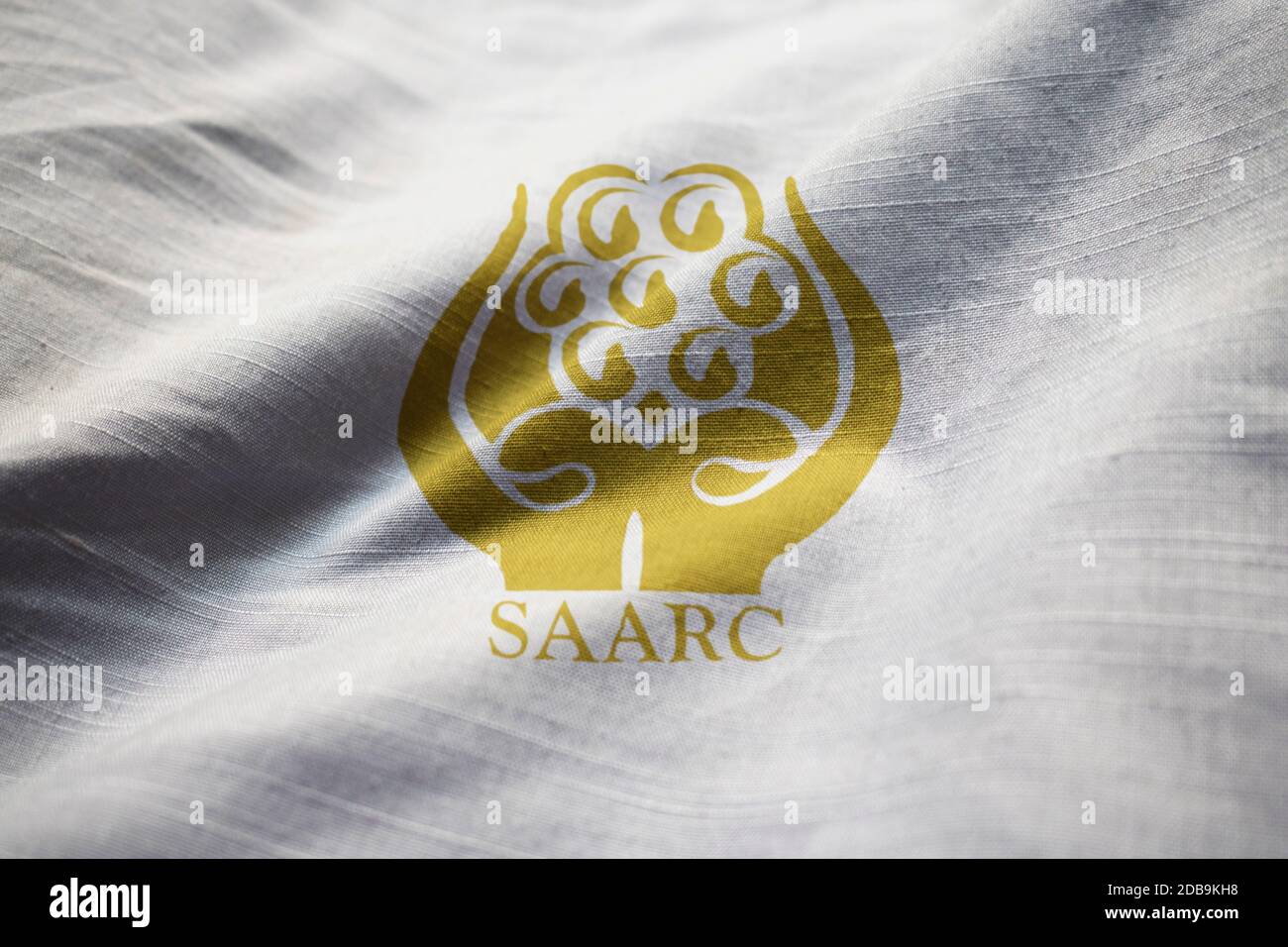 Closeup of Ruffled SAARC Flag, SAARC Flag Blowing in Wind Stock Photo ...