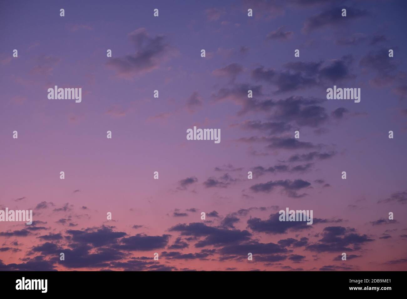 Sky with purple clouds in dawn Stock Photo - Alamy