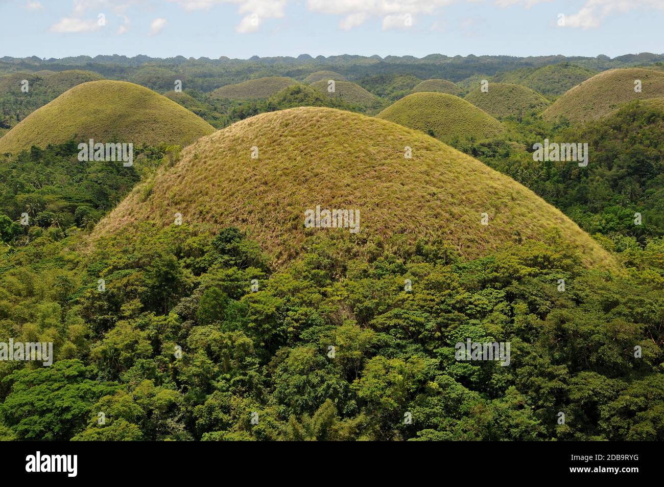 Chocolate Hills Drawing