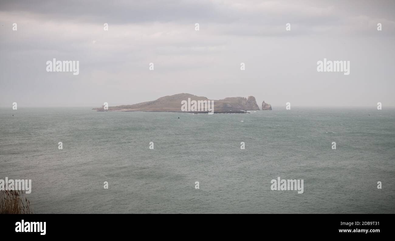 view of Ireland Eye s wild island in Howth Bay, Ireland Stock Photo - Alamy