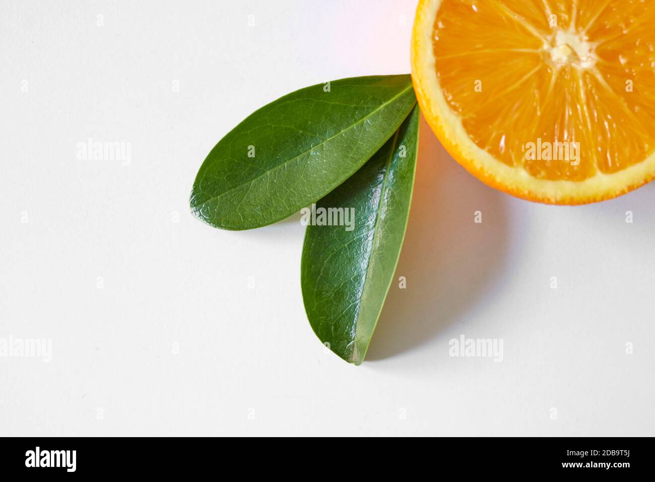 A studio photo of orange fruit Leaves Stock Photo - Alamy