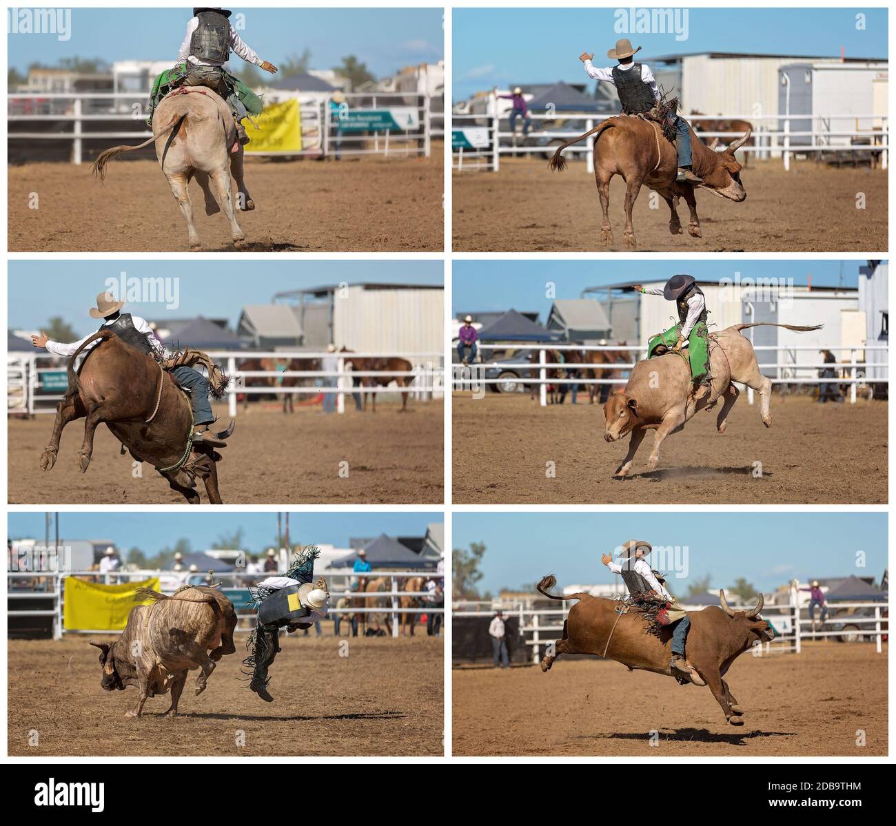A collage of eight images of a cowboy riding a bucking bull at an ...