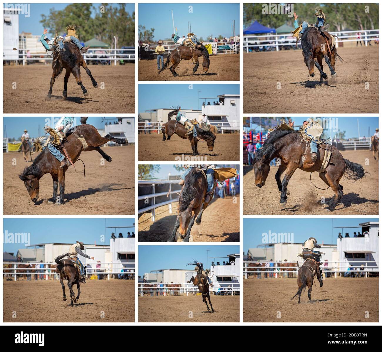 A collage of ten images of a cowboy bareback riding a bucking bronco at ...