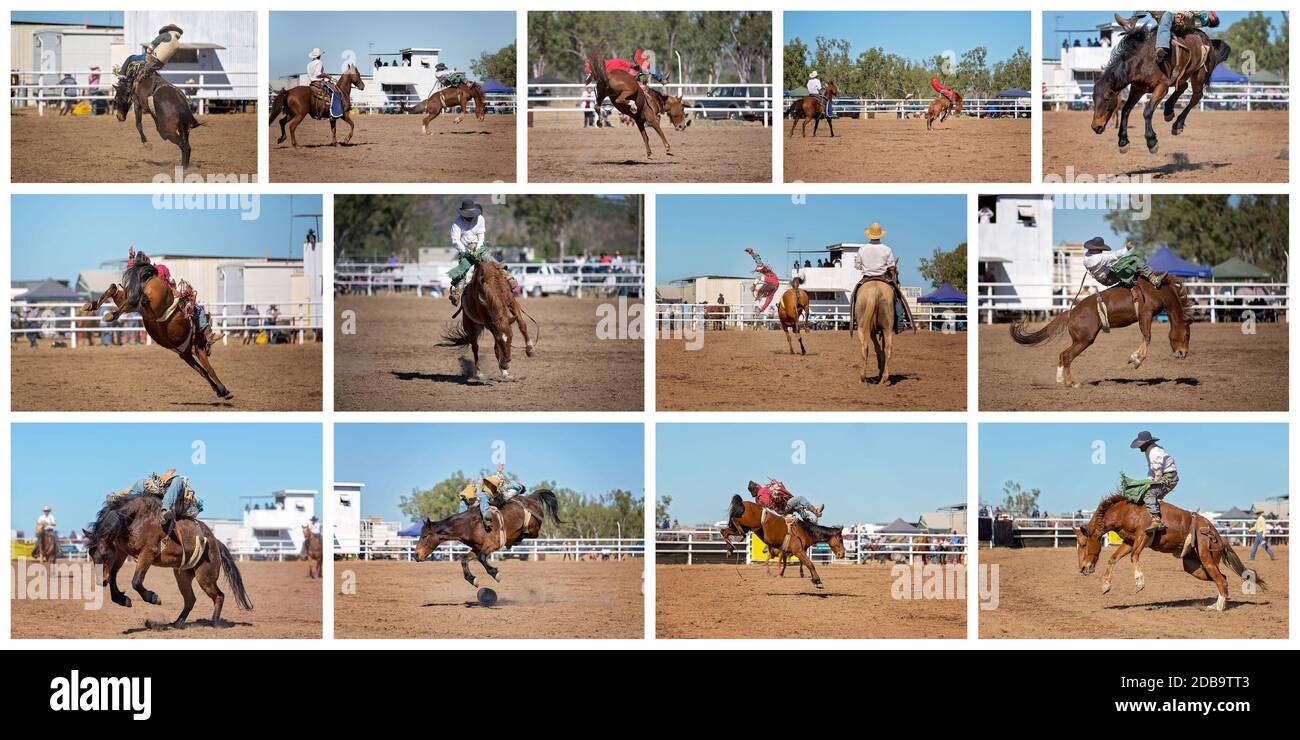 A collage of thirteen images of a cowboy bareback riding a bucking ...