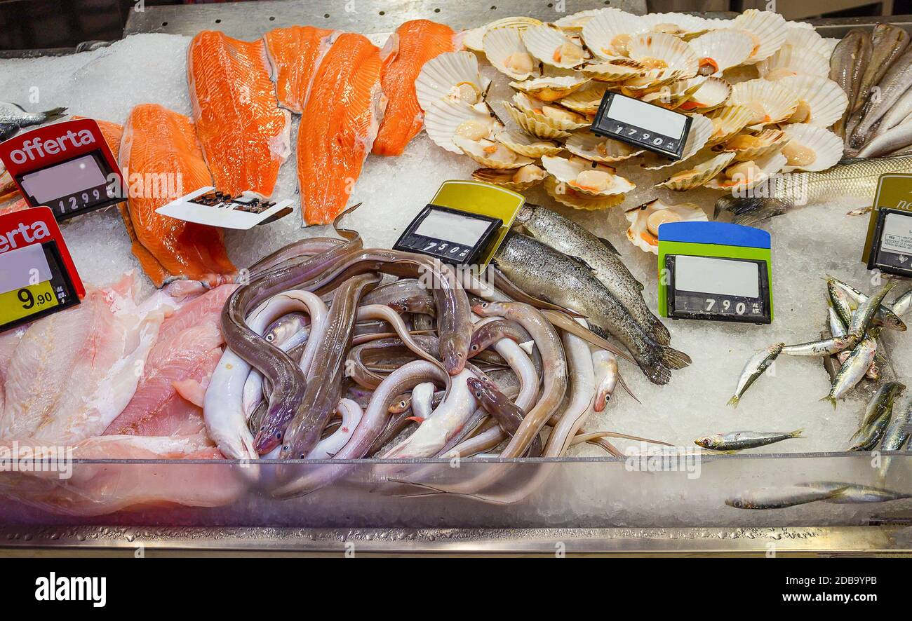 Italian fish market with many different fresh fishes at Liguria ...