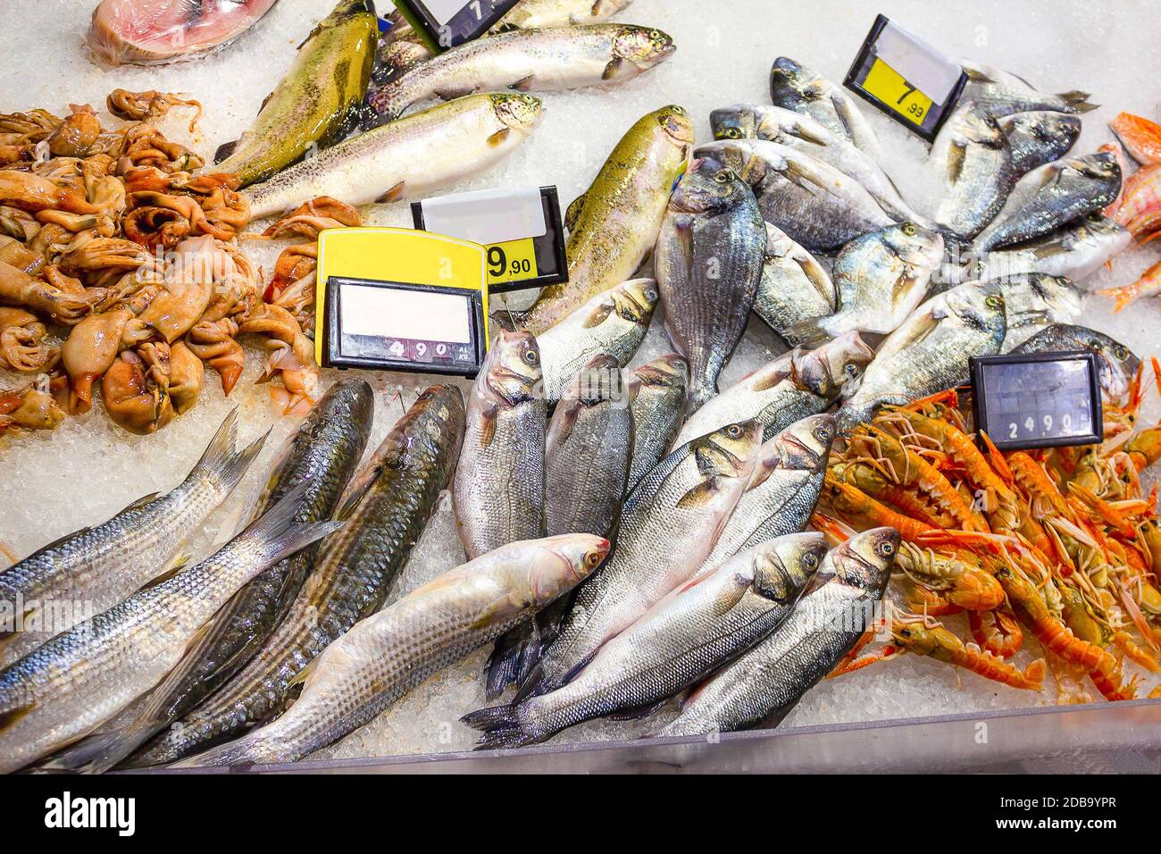 Italian fish market with many different fresh fishes at Liguria ...