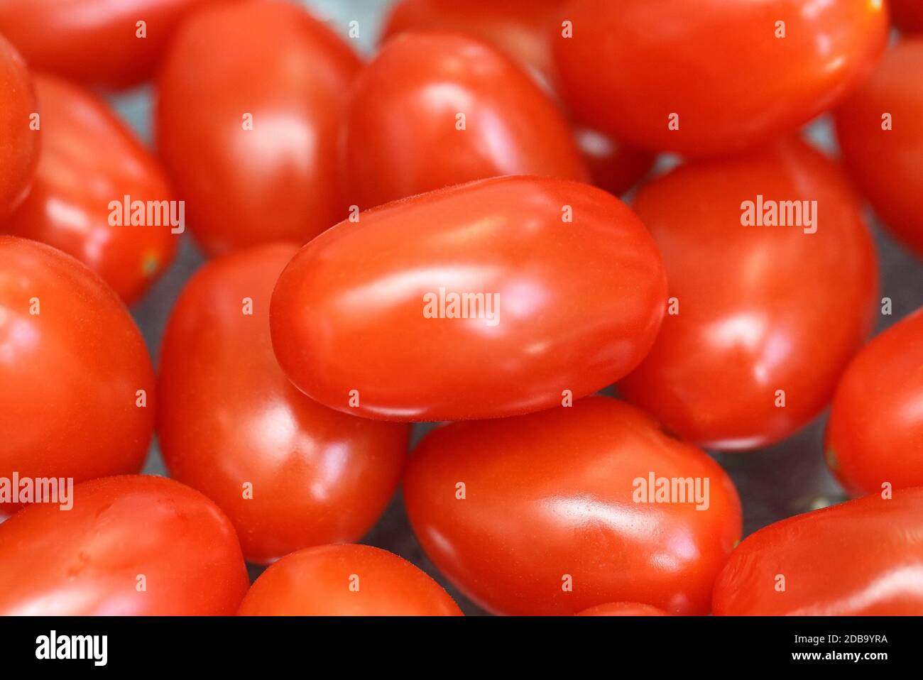 Grape tomatoes hi-res stock photography and images - Alamy