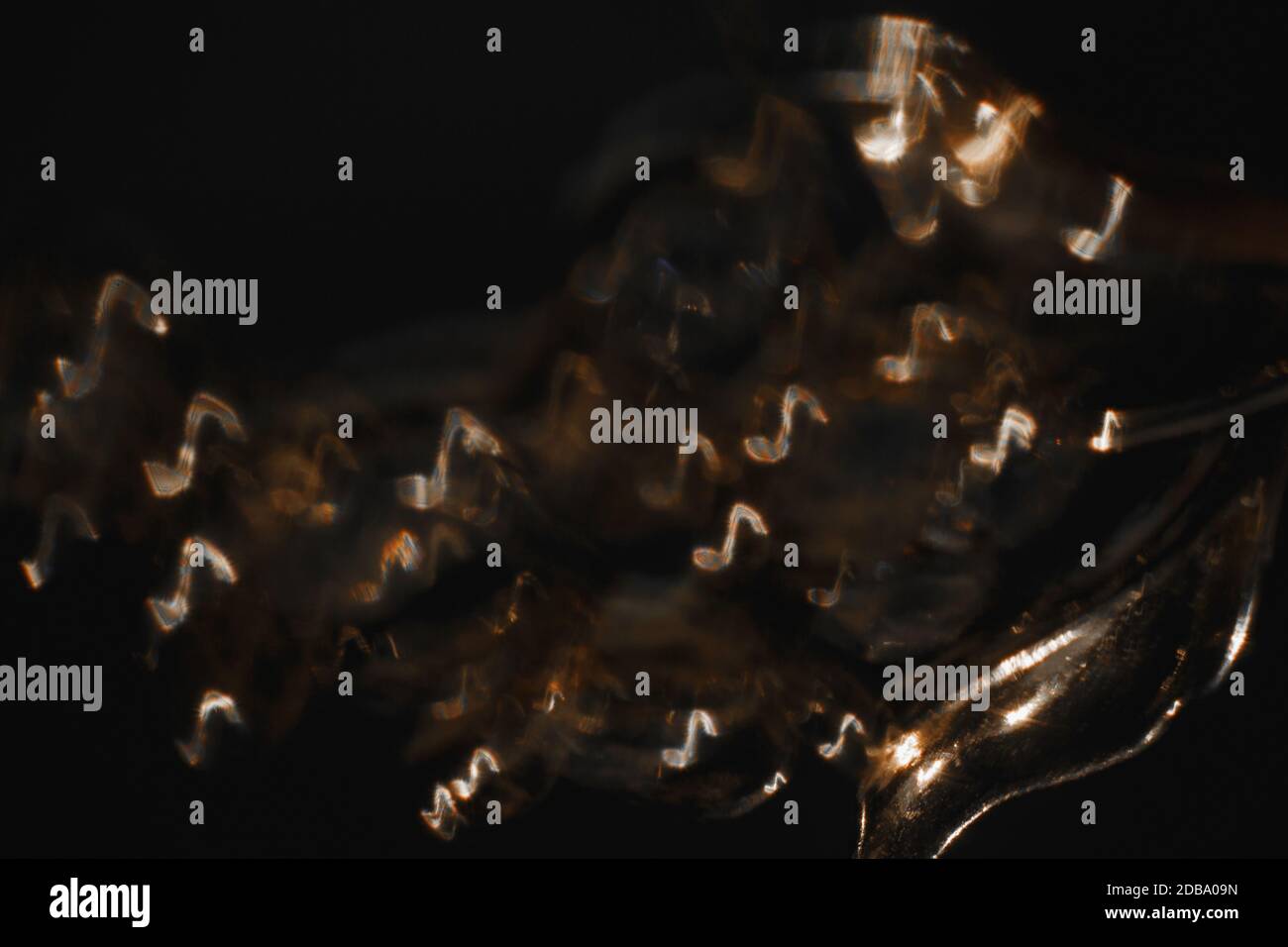 Gold notes on black background Stock Photo - Alamy