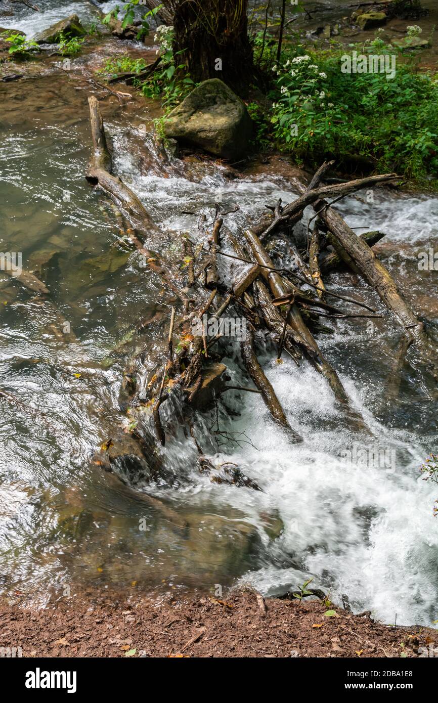 Lower Decew Conservation Area Ontario Canada Stock Photo - Alamy