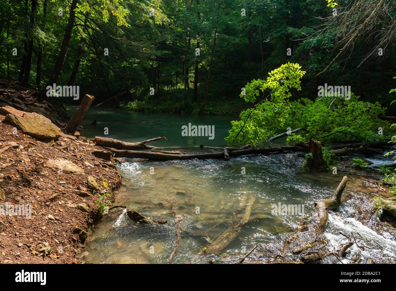 Lower Decew Conservation Area Ontario Canada Stock Photo - Alamy
