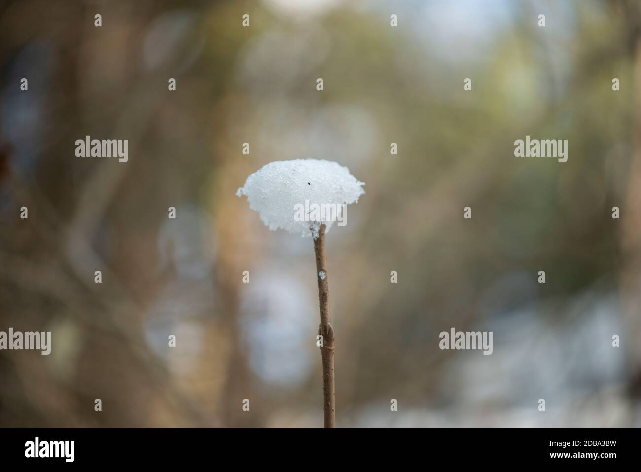 Close up pile snowy hi-res stock photography and images - Alamy