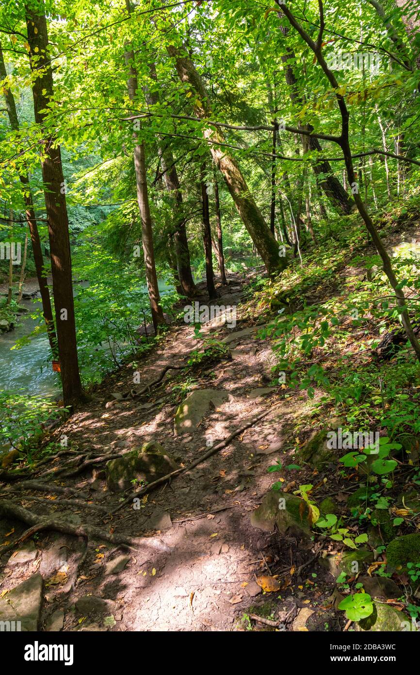 Lower Decew Falls Conservation Area lower stream Stock Photo - Alamy