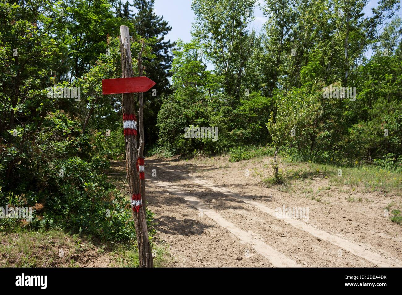 Signpost With Wooden Arrow Directional Sign In The Forest Stock Photo ...