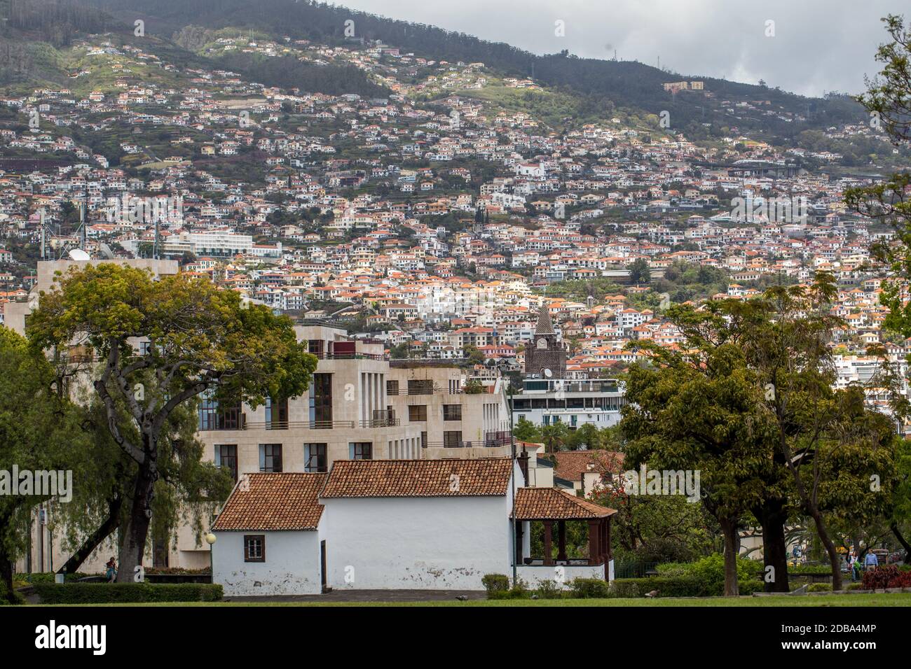 Typical terrace architecture on the steep slopes of Funchal on the ...