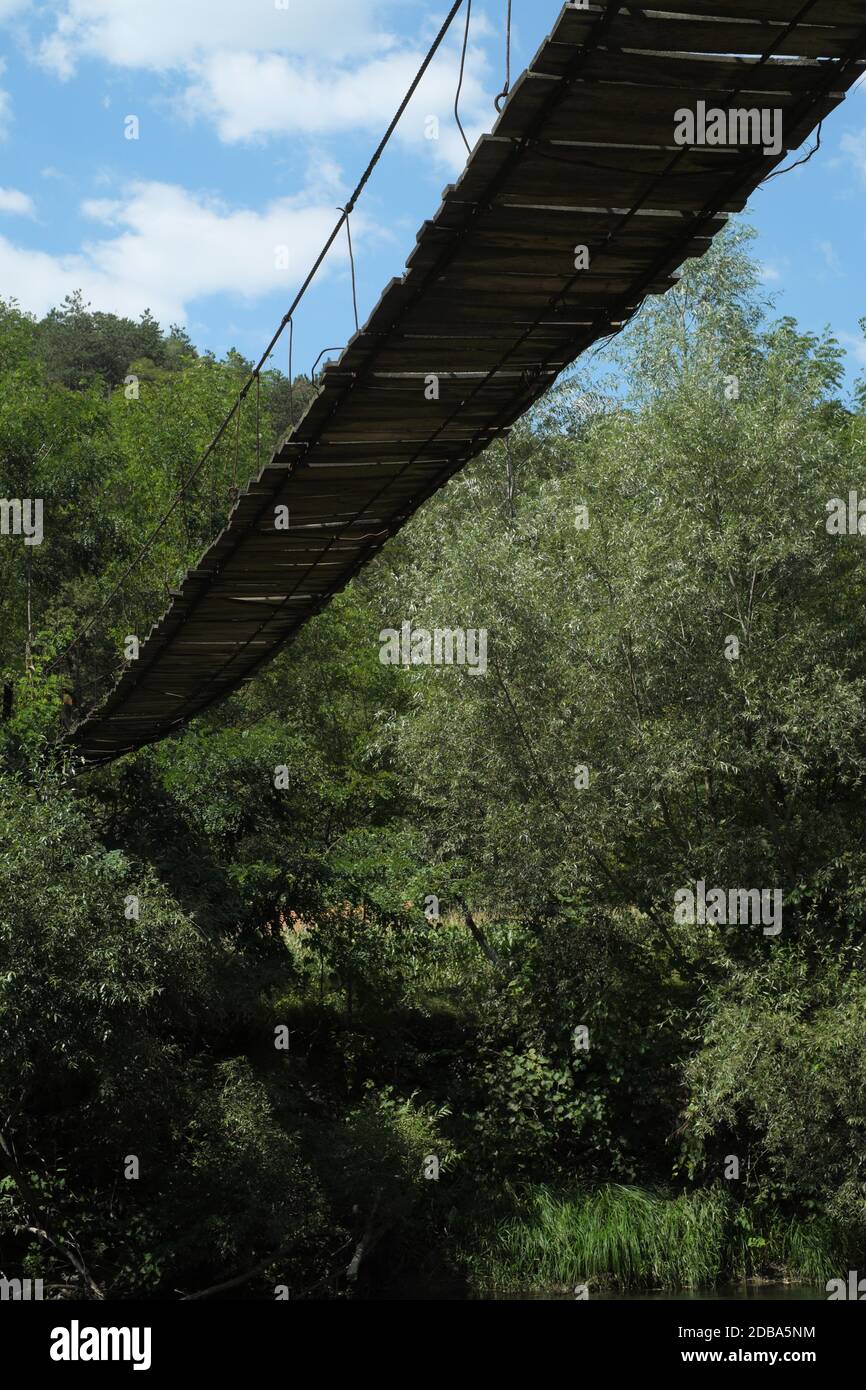 Bridge tree hi-res stock photography and images - Alamy