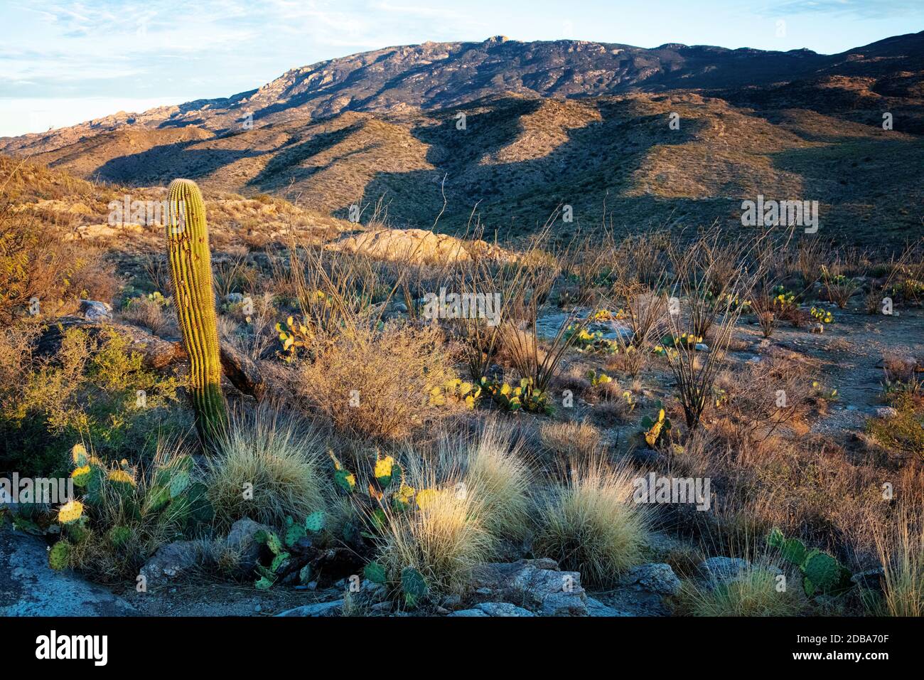 Redington hi-res stock photography and images - Alamy
