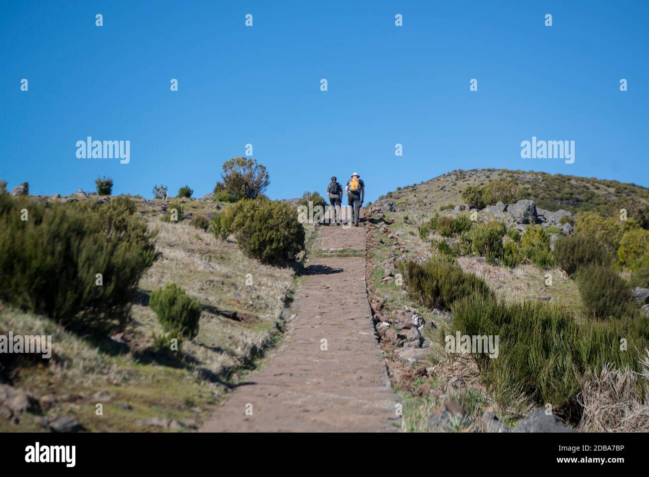 the Landscape and Mountains of the Madeira National Park in Central ...