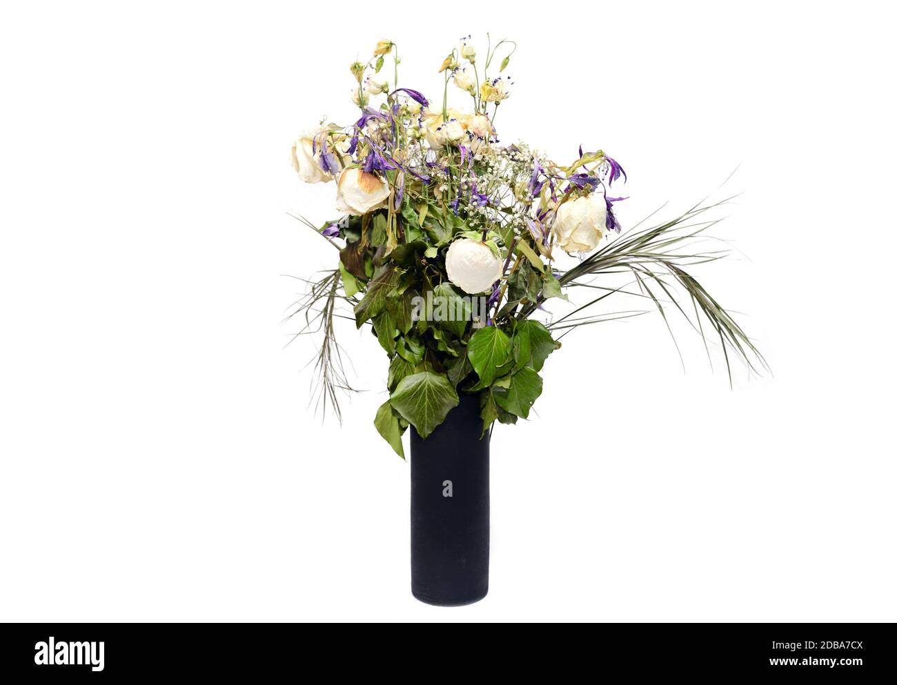 Dead flowers in black vase over white background Stock Photo - Alamy