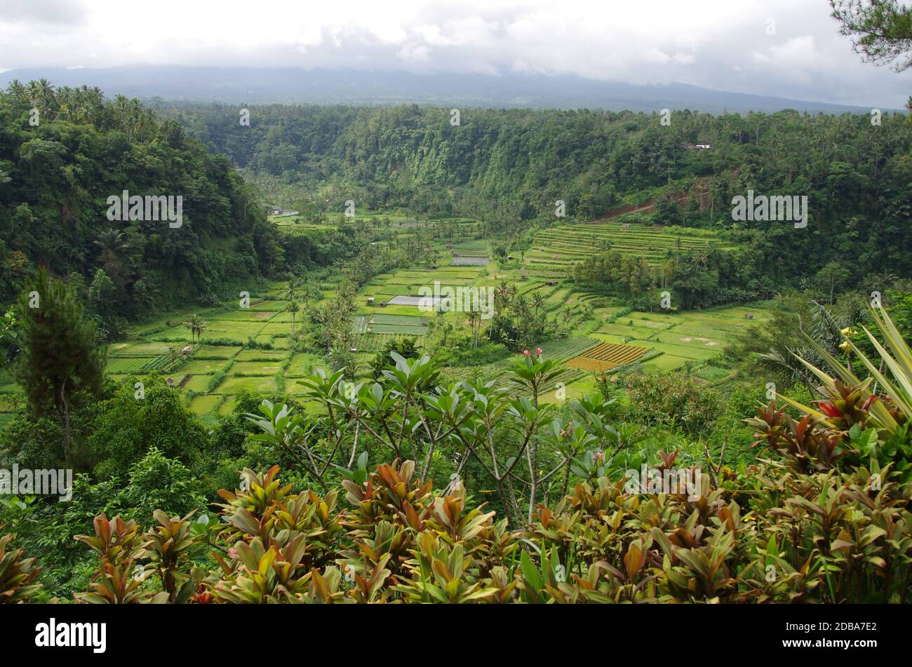 Rural landscape on the Bali island in Indonesia, Asia Stock Photo - Alamy