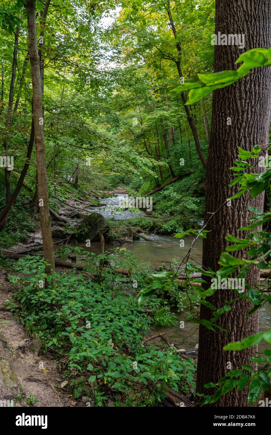 Lower Decew Conservation Area Ontario Canada Stock Photo - Alamy