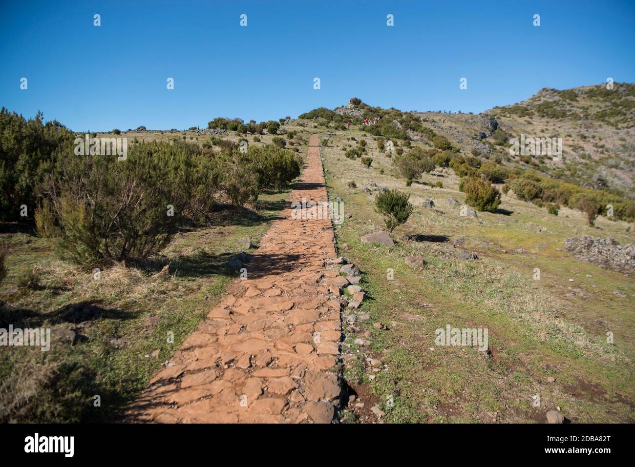 the Landscape and Mountains of the Madeira National Park in Central ...