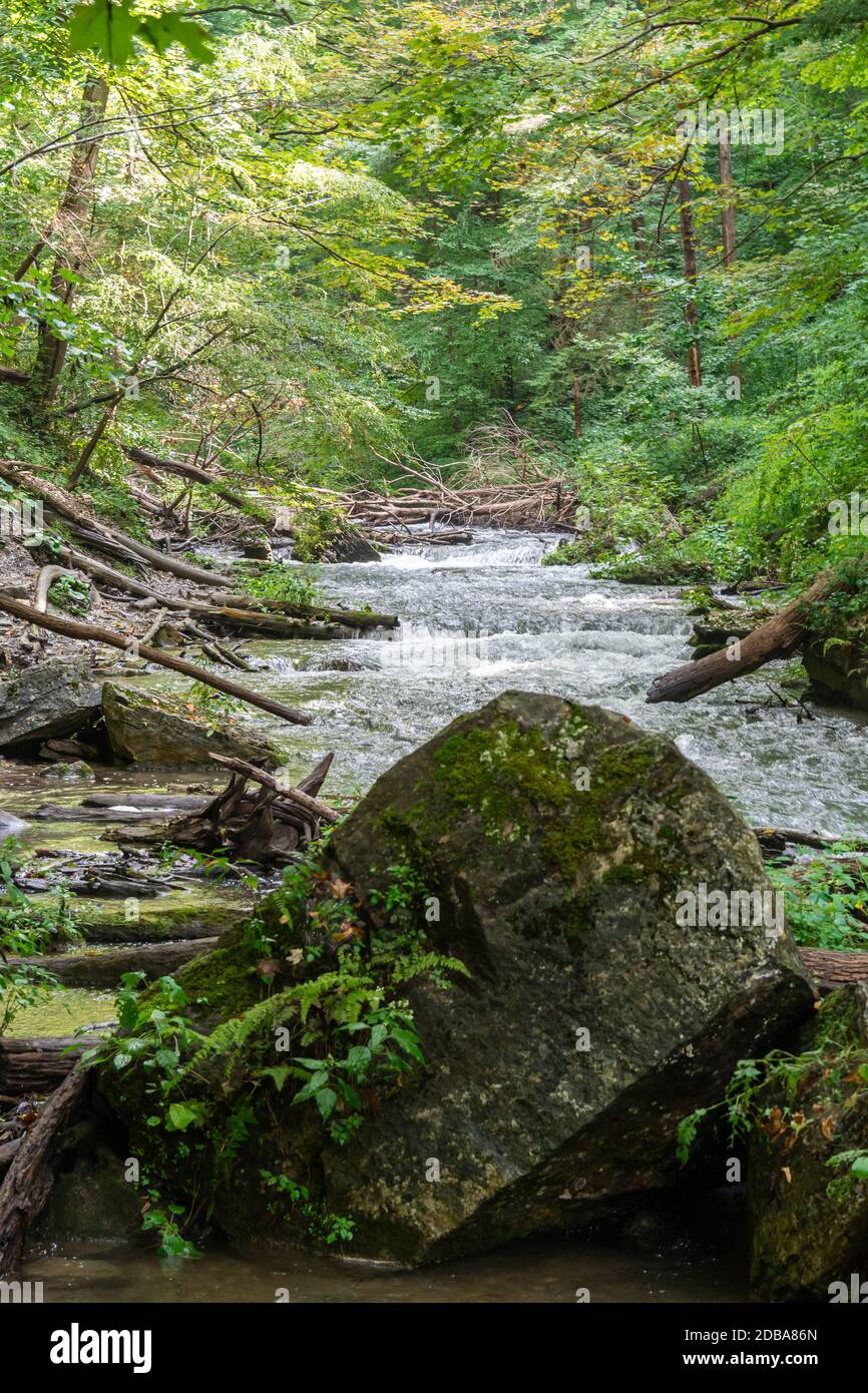 Lower Decew Conservation Area Ontario Canada Stock Photo - Alamy