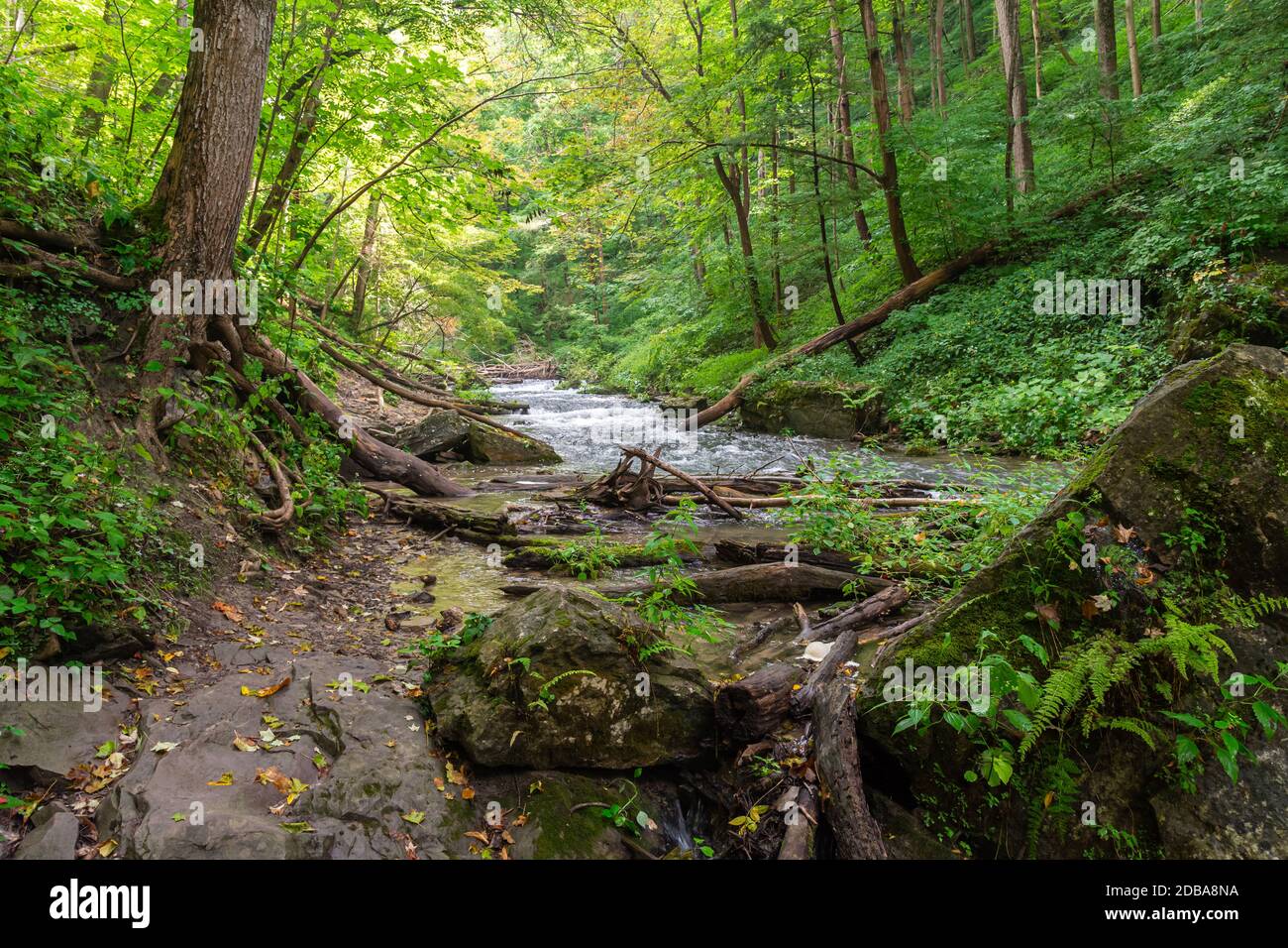 Lower Decew Conservation Area Ontario Canada Stock Photo - Alamy