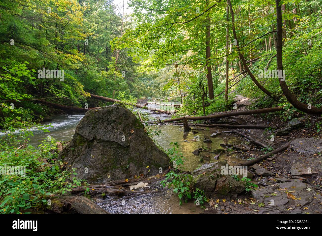 Lower Decew Conservation Area Ontario Canada Stock Photo - Alamy
