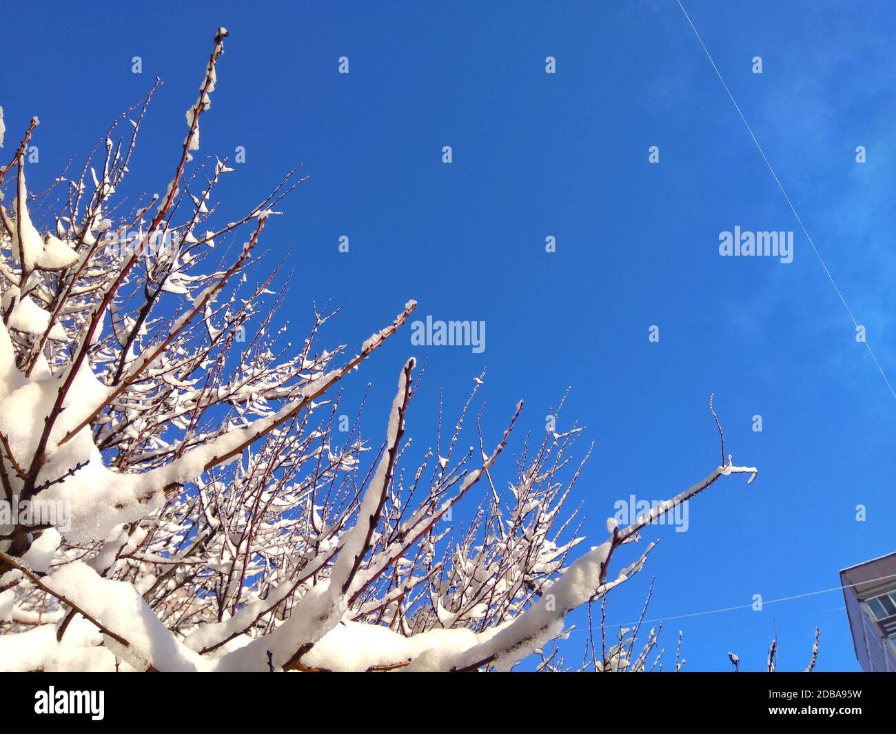 winter beautiful nature snow trees sky ice Stock Photo - Alamy