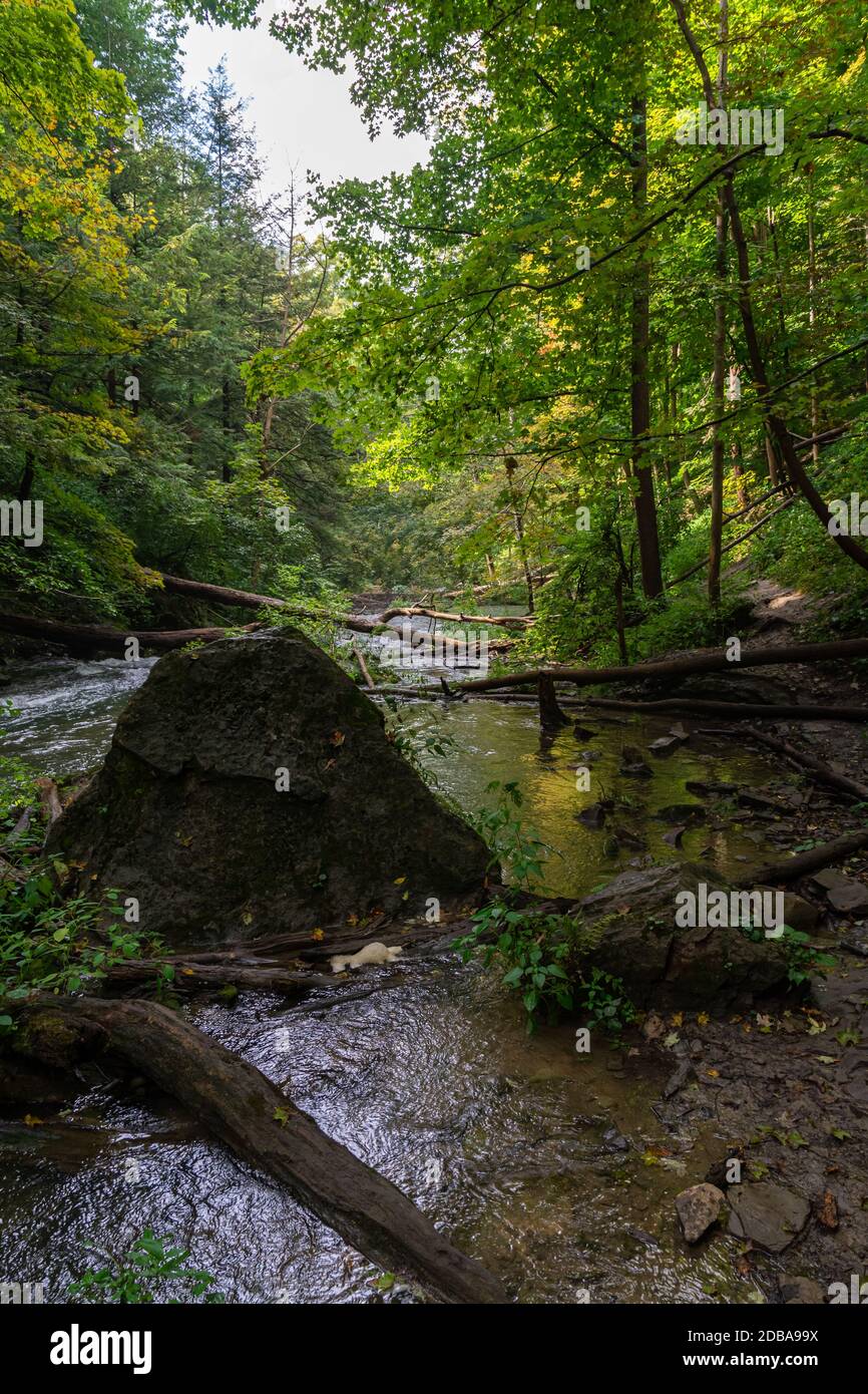 Lower Decew Conservation Area Ontario Canada Stock Photo - Alamy