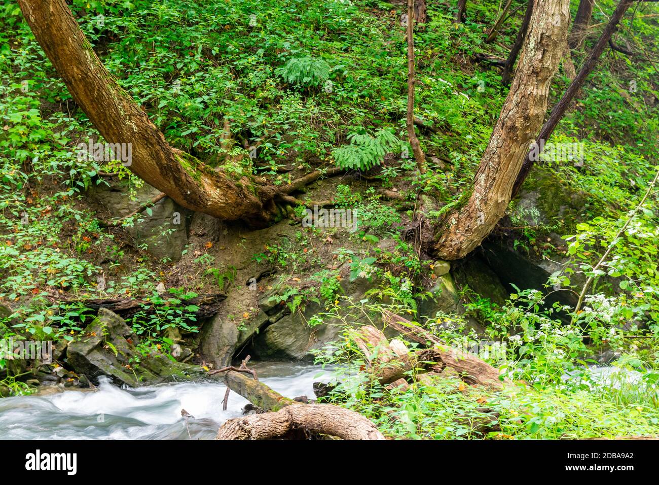 Lower Decew Conservation Area Ontario Canada Stock Photo - Alamy