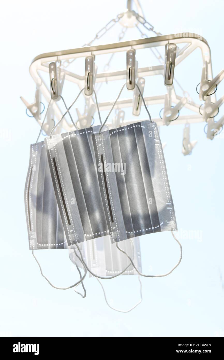 Hanging surgical masks out to dry on a sunny day Stock Photo - Alamy
