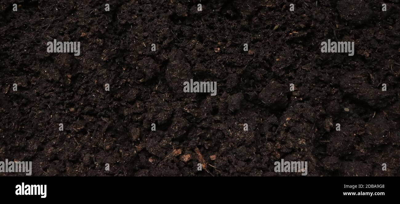 Fertile soil with peat - panoramic background for agriculture Stock ...