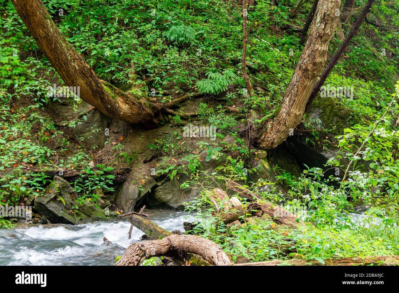Lower Decew Conservation Area Ontario Canada Stock Photo - Alamy