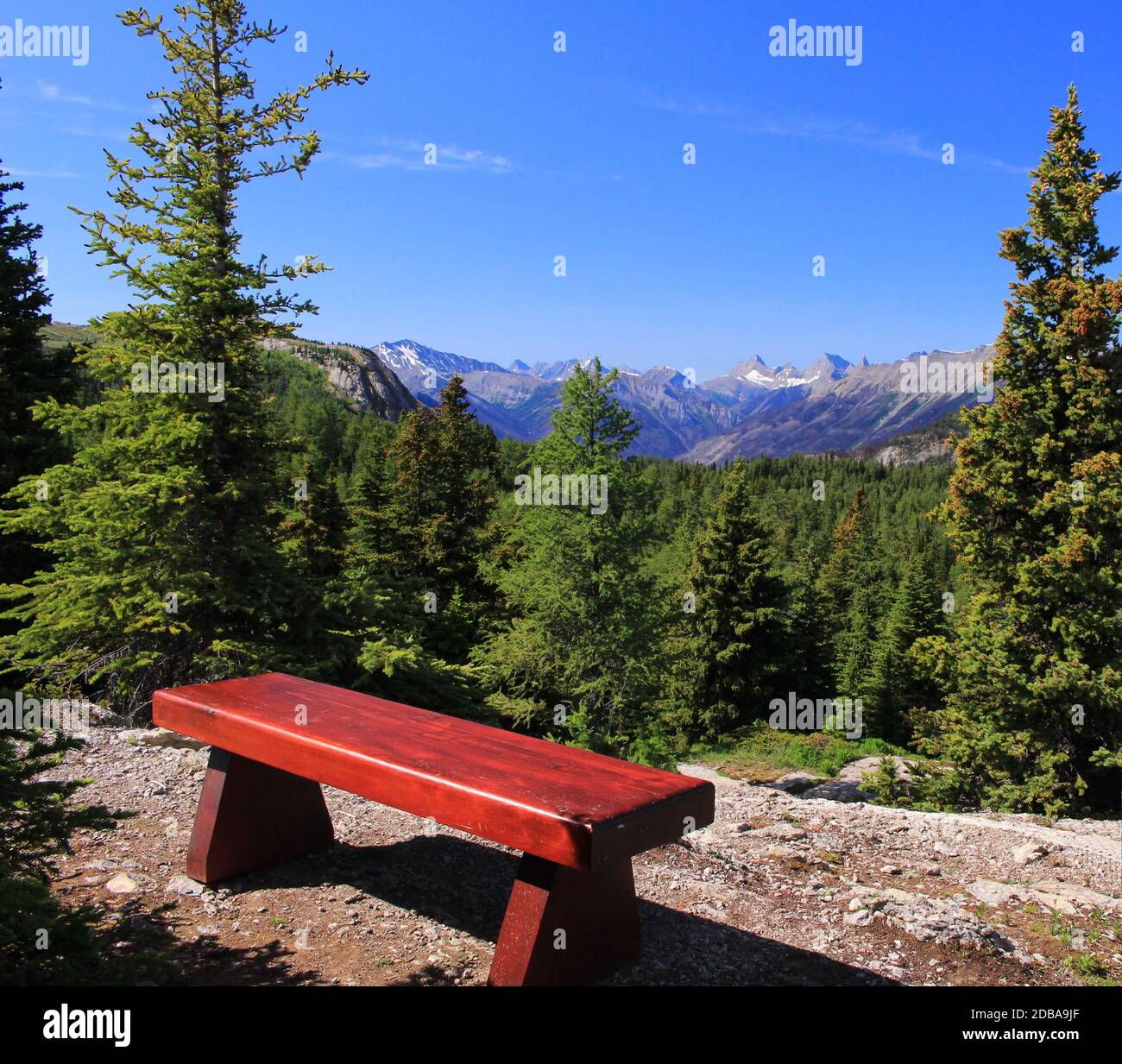What a sweet spot to take a break Stock Photo - Alamy