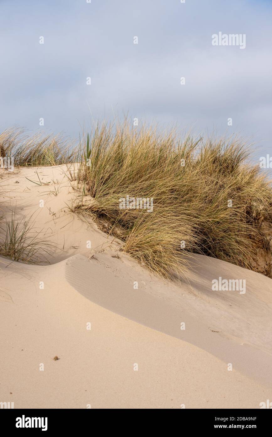 Wind and wave patterns hi-res stock photography and images - Alamy
