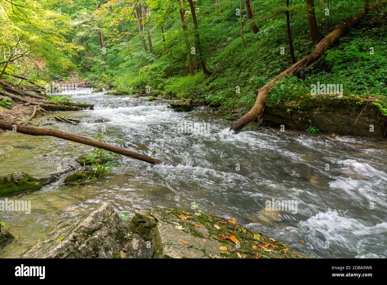 Lower Decew Conservation Area Ontario Canada Stock Photo - Alamy